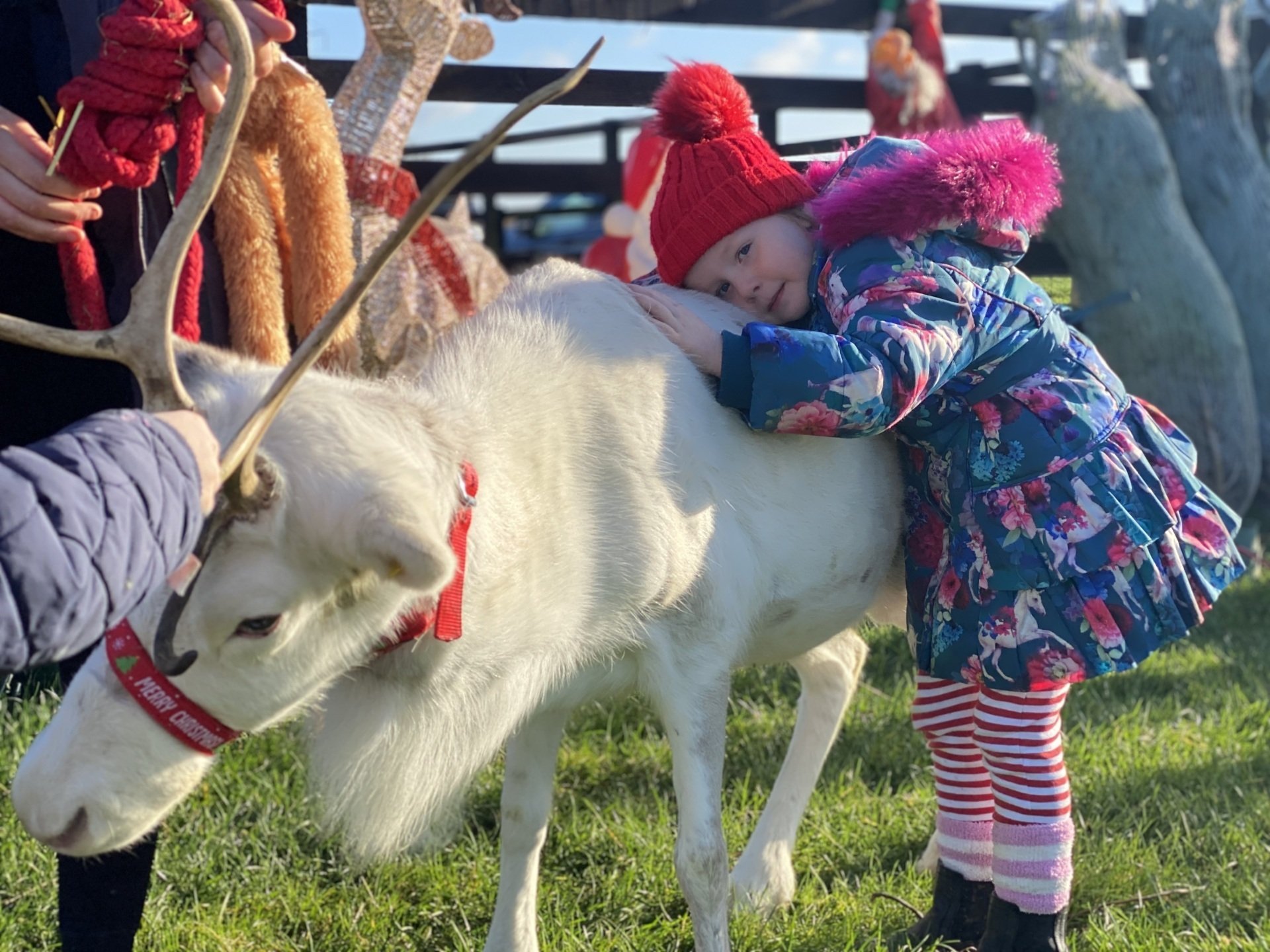 Santa’s Grotto & Reindeer Paddock at Nathan's Farm in Chalfont St. Giles