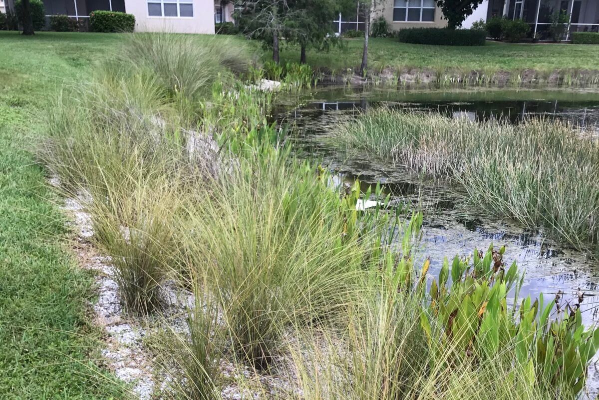 Littoral Shelf - Seabreeze Erosion Solutions & Lakeshore Restoration Ft ...