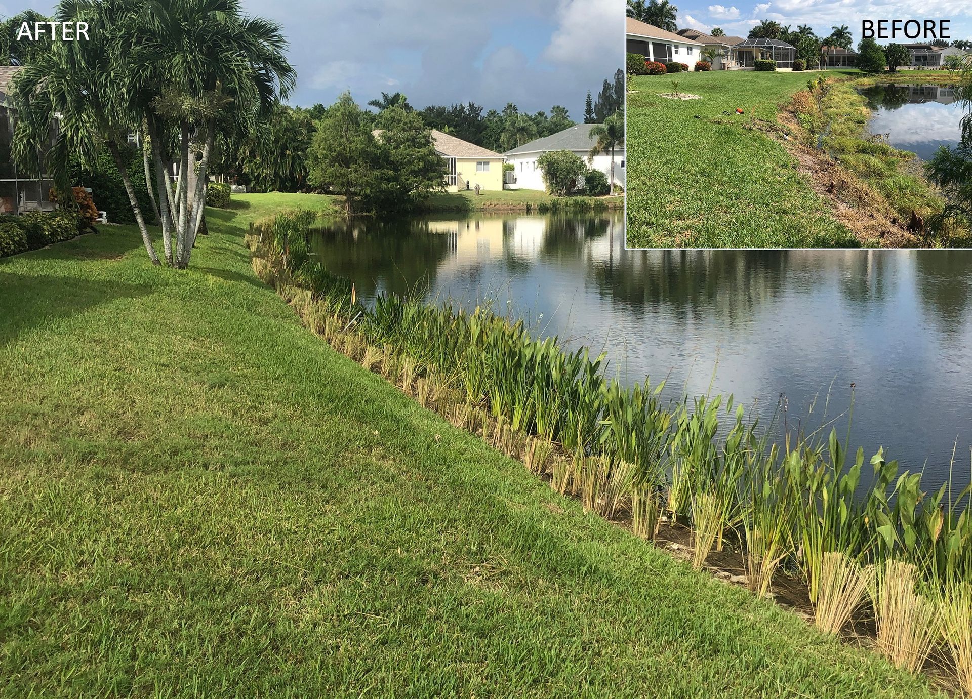 Erosion Systems | Seabreeze Erosion Solutions | Southwest Florida
