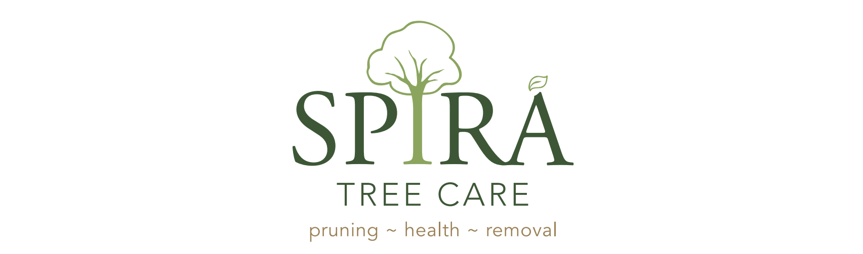 Expert Tree Services | Northwest Arkansas | Spira Tree Care