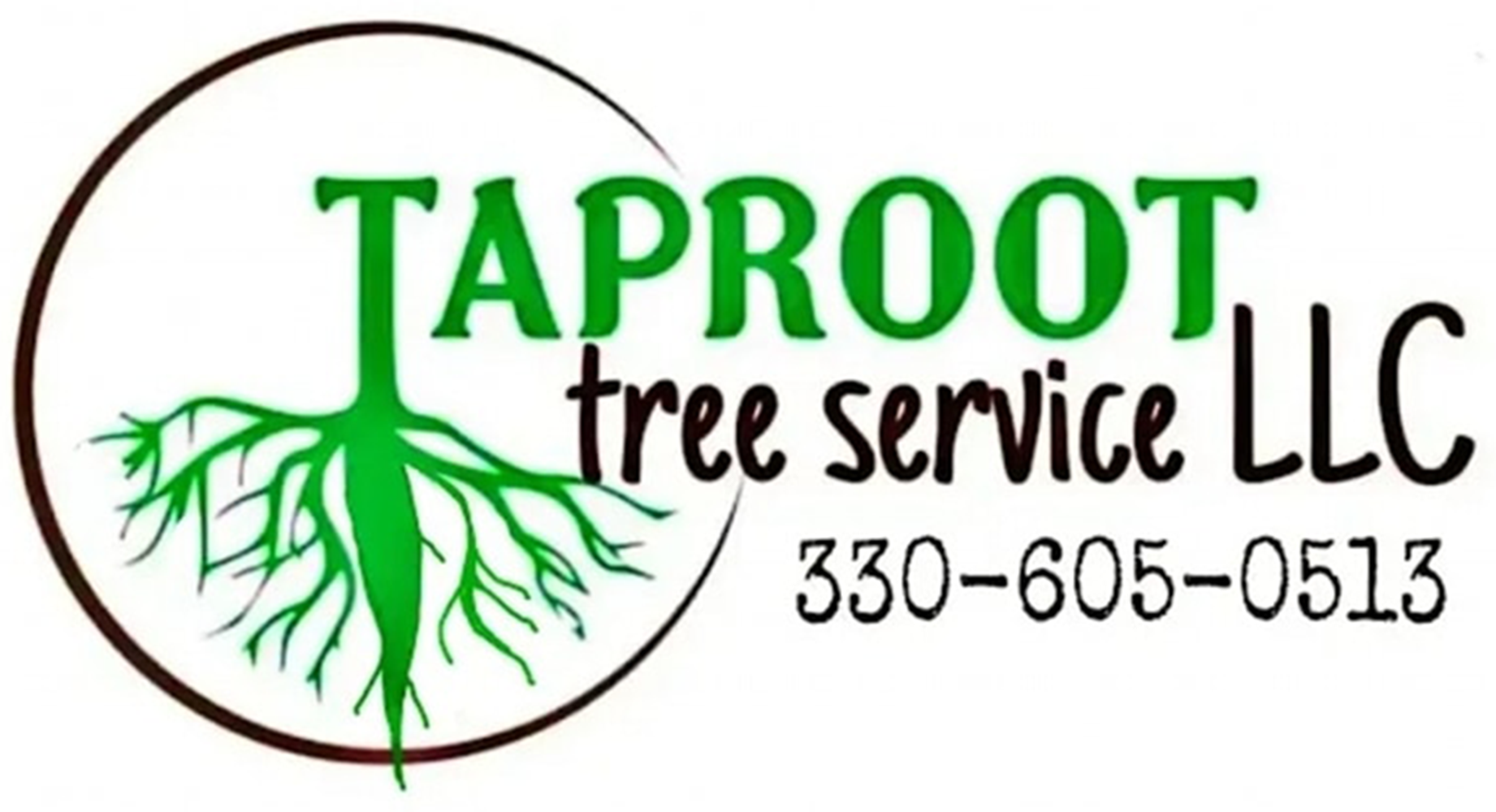 Tree Services, Arborist Consultation | Waynesburg, Canton, OH | Taproot ...