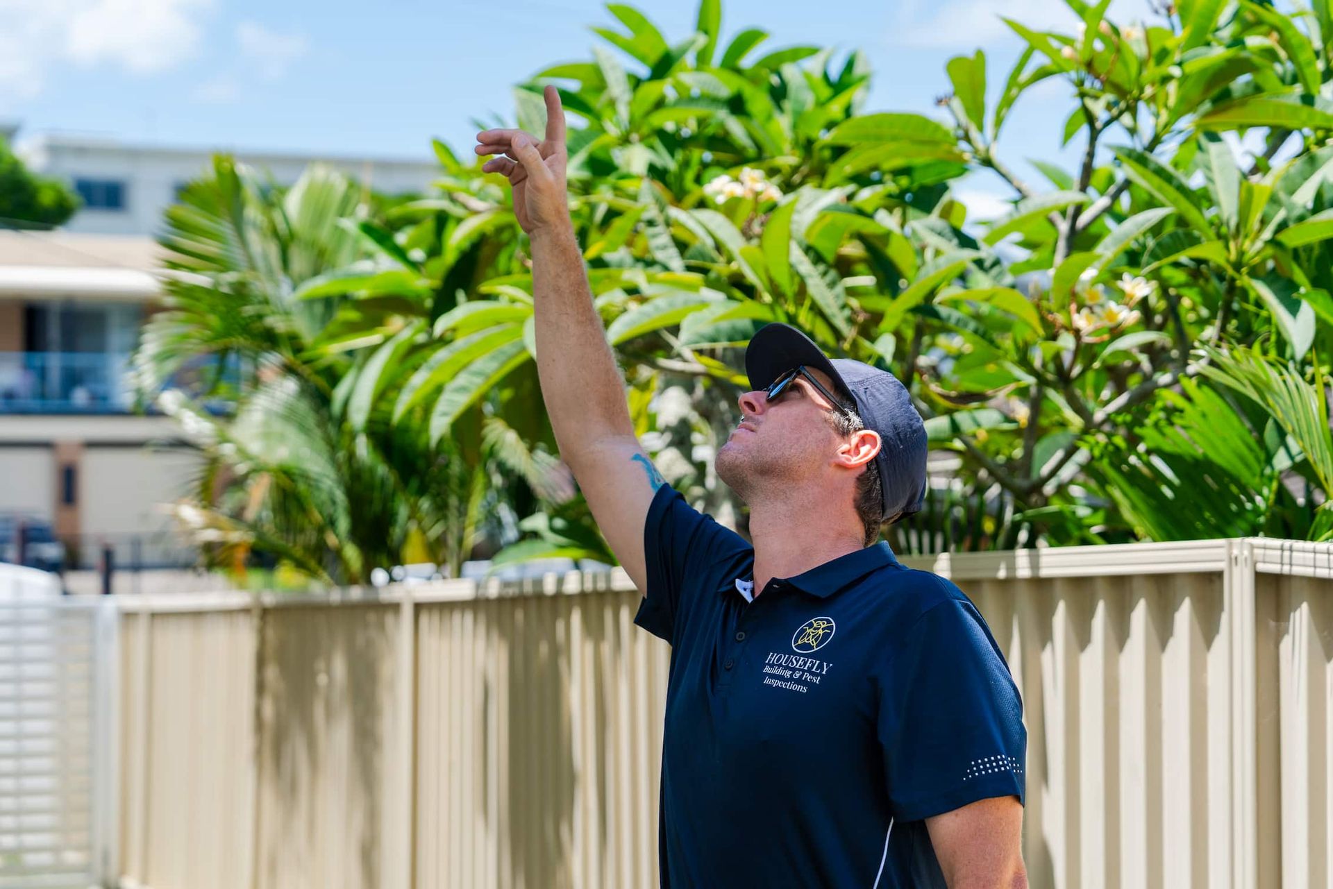 Building & Pest Inspections Gold Coast | Housefly