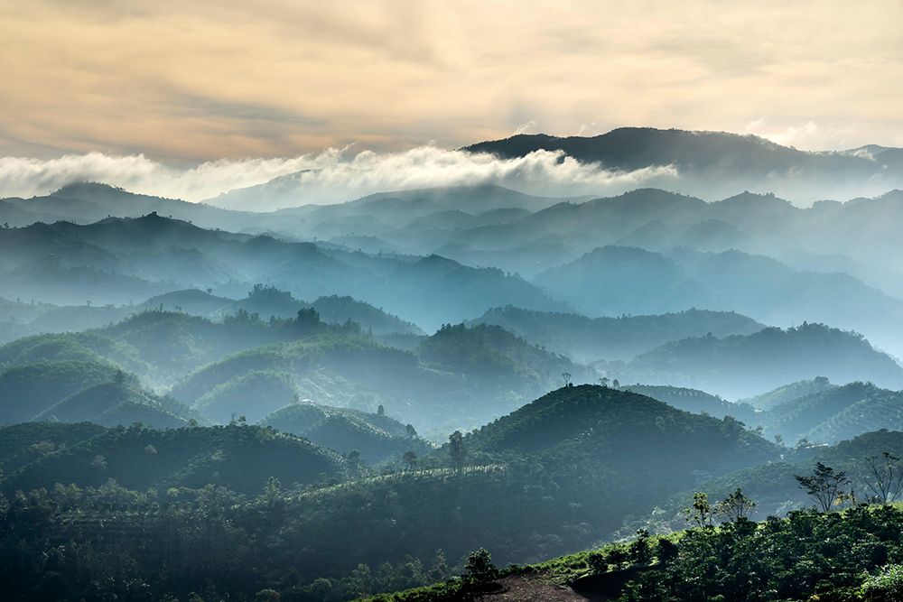 The Koho People - Bibles at last for the Koho of Vietnam