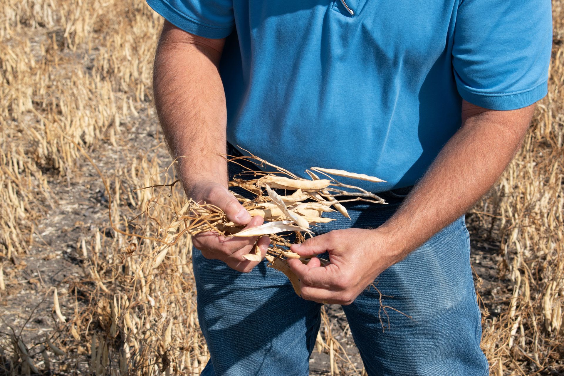 Nano-Yield™ | Crop Efficiency with Nanotechnology