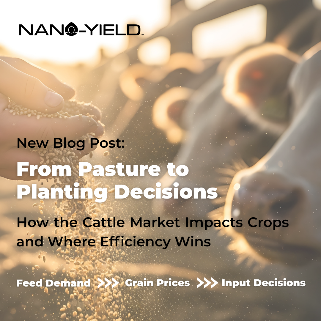 How the Cattle Market Impacts the Crop Markets — and How Nano-Yield Helps