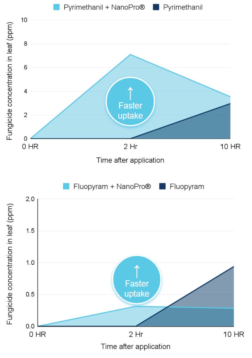 Nano-Yield™ Data