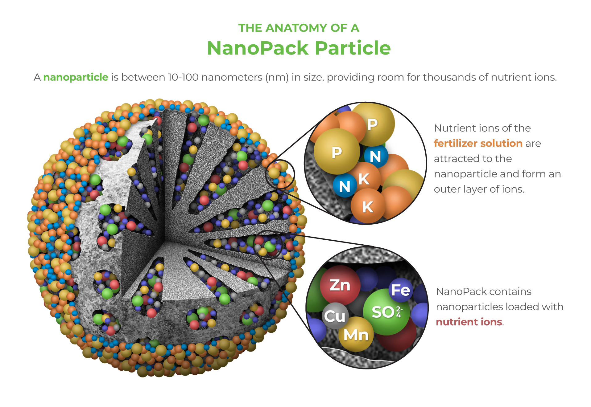 NanoPack™