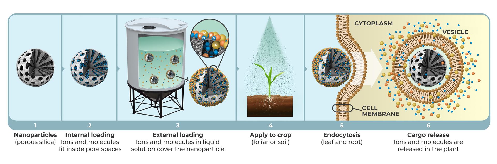 Nano-Yield™: The nanotechnology company | Nanotechnology for ...