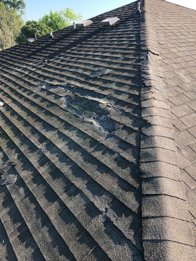 Top 5 Roof Warning Signs Every Homeowner Should Know | Perfect Choice ...