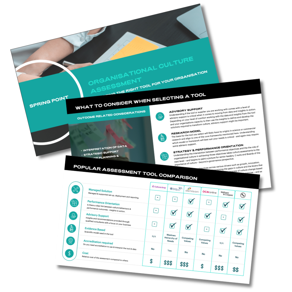 PerformX Culture Assessment Tool | Australia