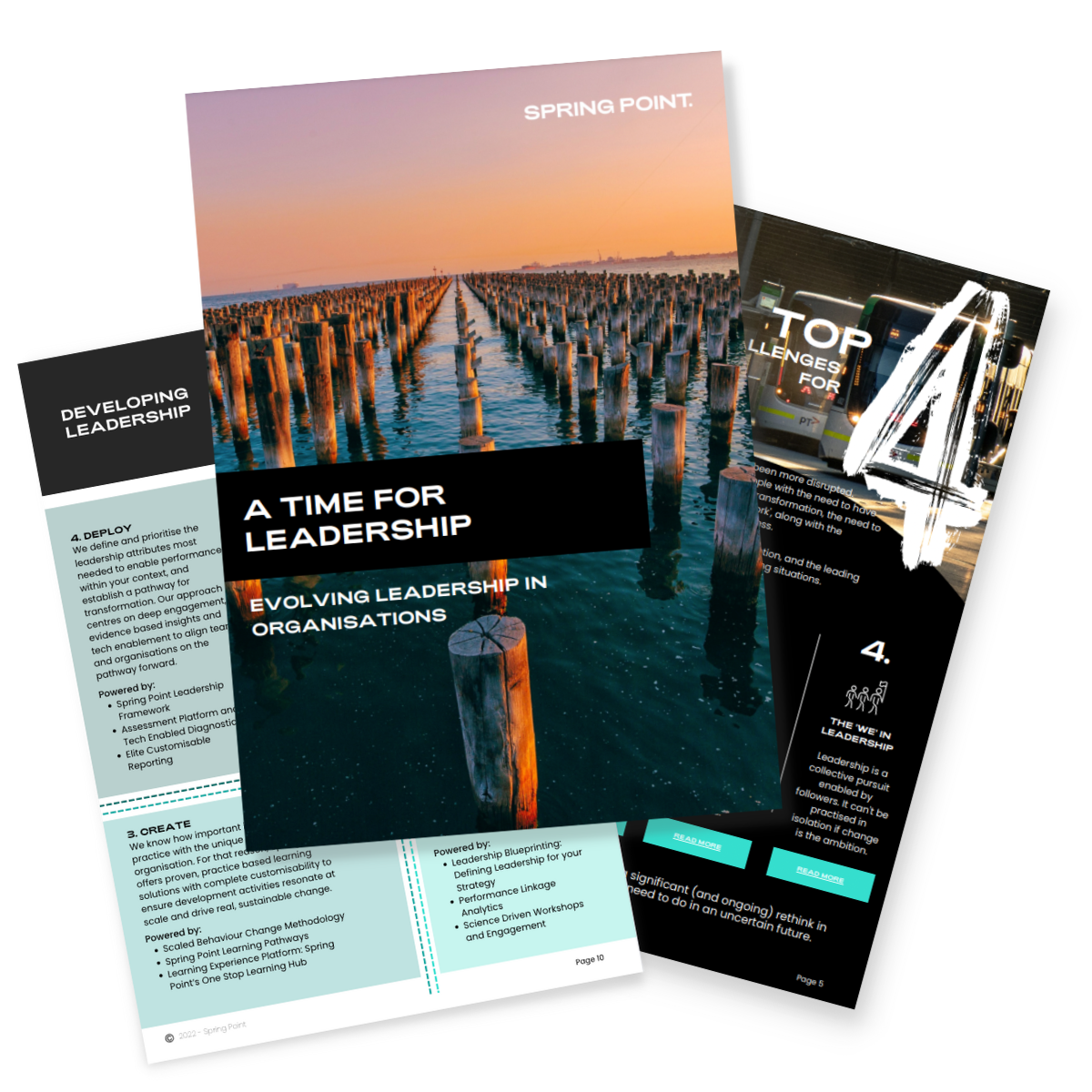 Leadership strategy and solutions | Spring Point