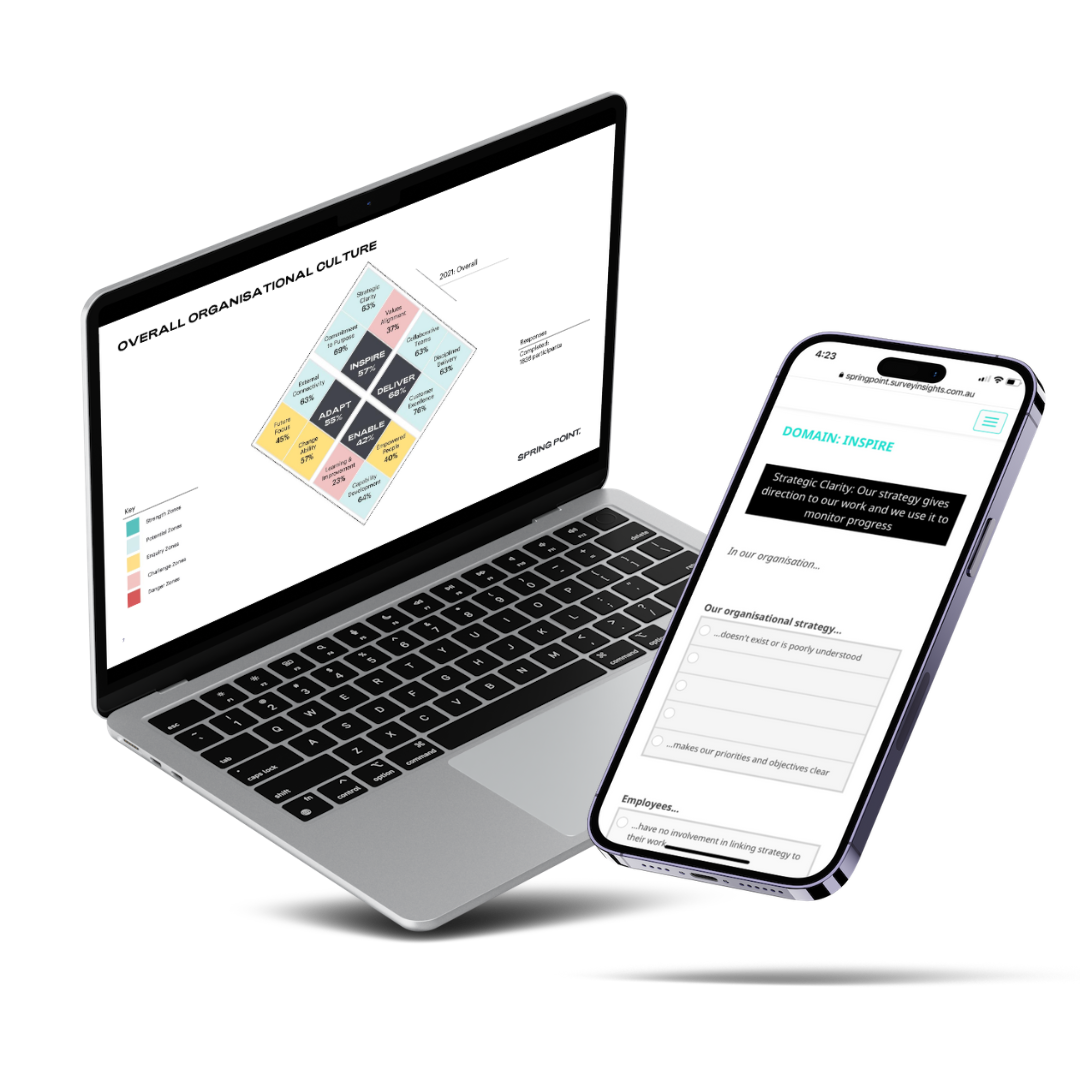 PerformX Culture Assessment Tool | Australia