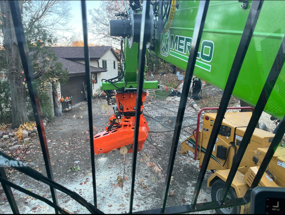 View Our Gallery | Appleton, WI | Tree-B-Gone