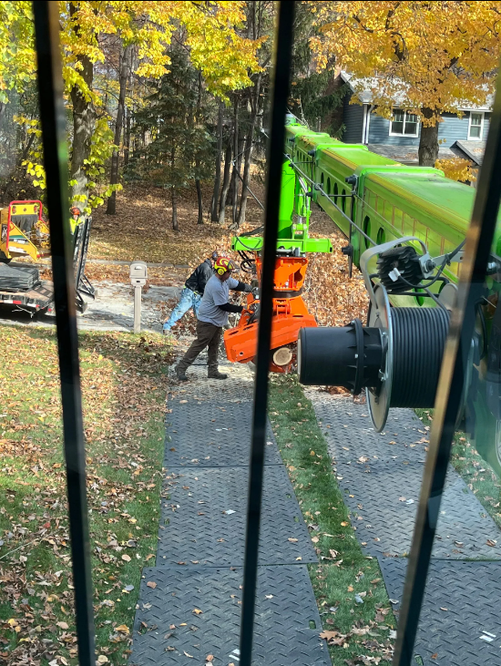 View Our Gallery | Appleton, WI | Tree-B-Gone