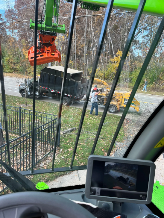 View Our Gallery | Appleton, WI | Tree-B-Gone