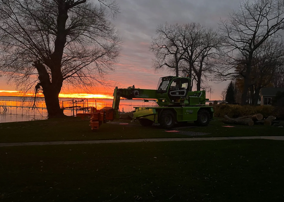 View Our Gallery | Appleton, WI | Tree-B-Gone