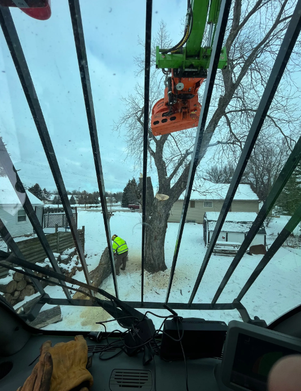 View Our Gallery | Appleton, WI | Tree-B-Gone