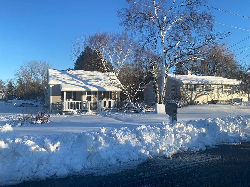 View Our Gallery | Appleton, WI | Tree-B-Gone