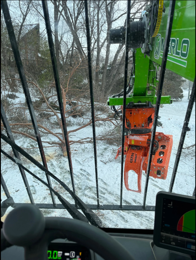 View Our Gallery | Appleton, WI | Tree-B-Gone