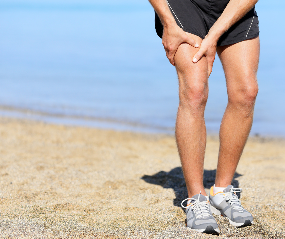 Musculo Reto Femoral Quadriceps Femoris Muscle: Anatomy, Innervation,