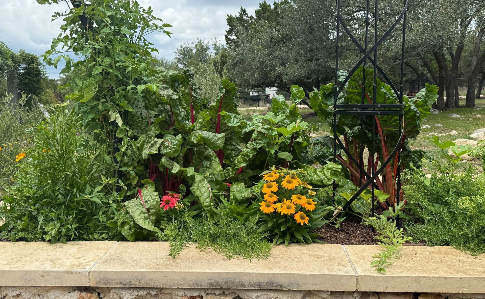 Landscape Design Services | Texas Hill Country | Flora & Gardens Design