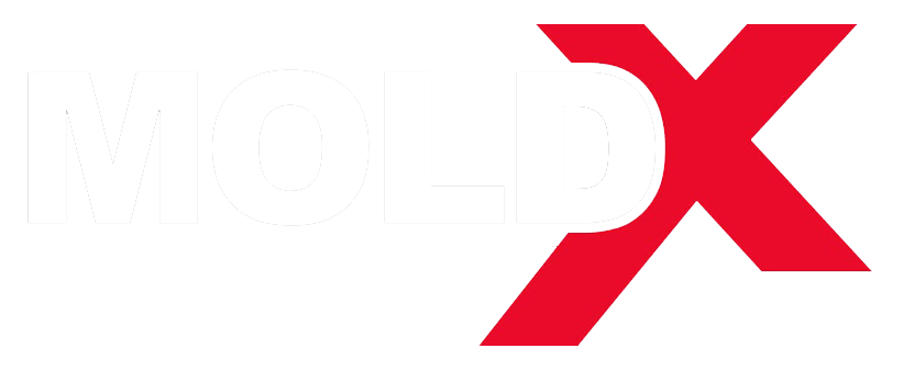 Mold Remediation | MoldX | Nampa, ID