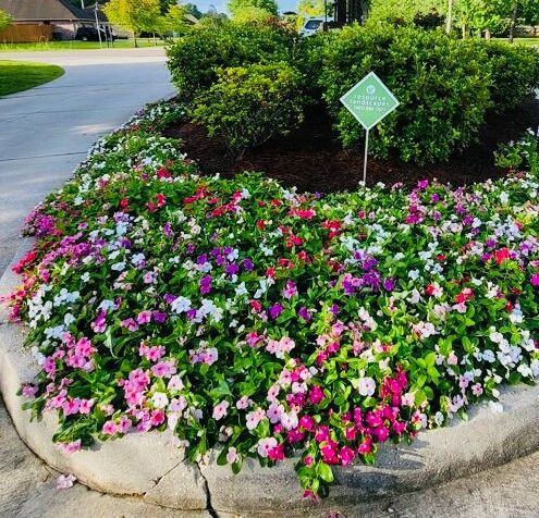 Annual Installation | Resource Landscapes, LLC.