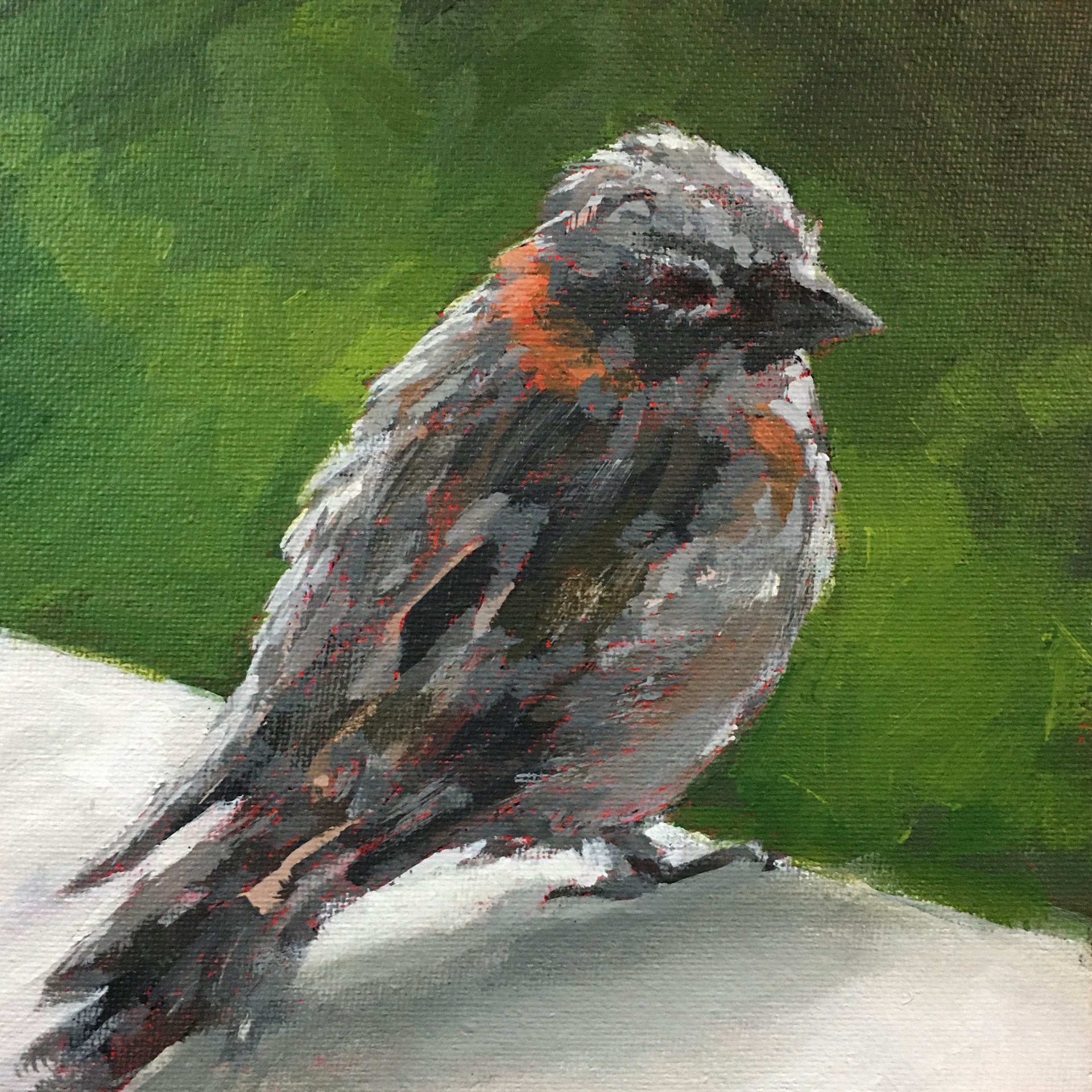 Mini - Jed Year 1 | Acrylic University