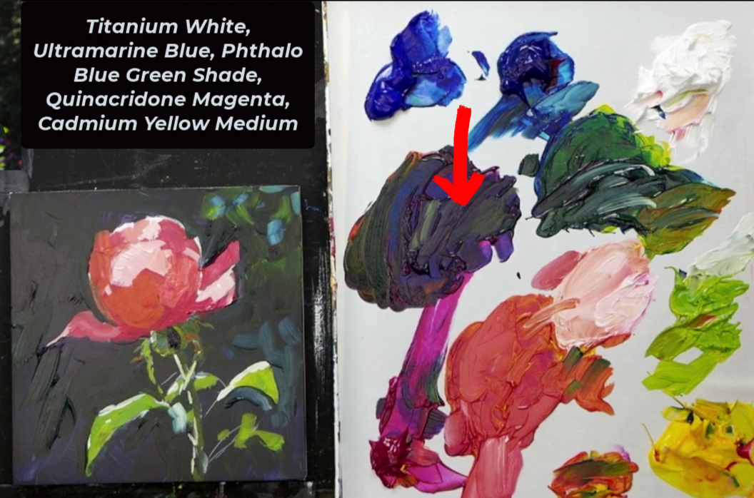 How to Paint Flowers Step by Step with Dianna Shyne - Coral Rose