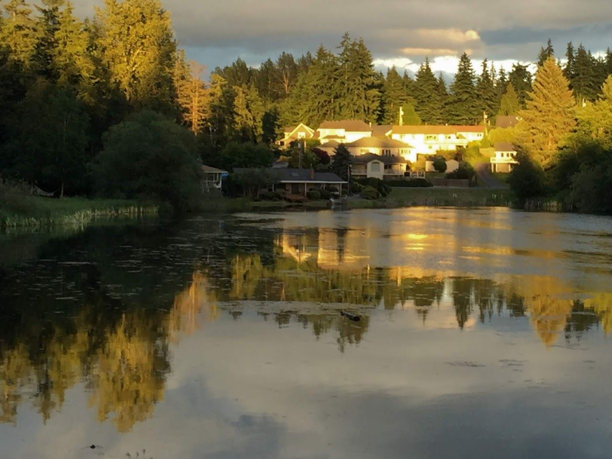 How to Paint Water With Acrylics Step by Step