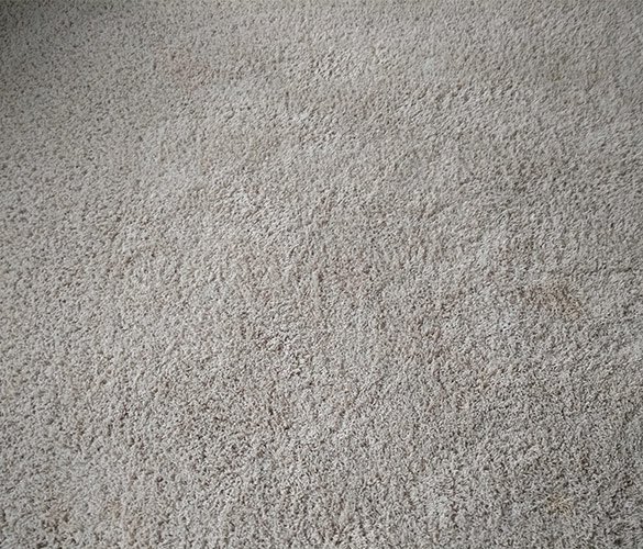 Carpet Cleanse | Waynesville, NC | Dry Master Carpet Care