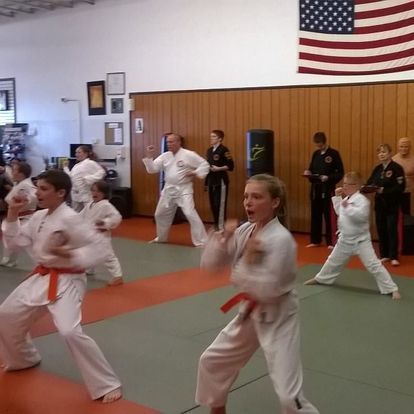 About - Karate Institute Of Mentor | Ohio Martial Arts