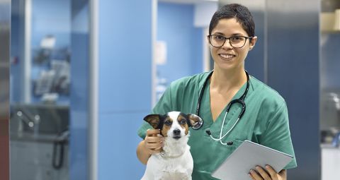Veterinary Resources | Nebraska Veterinary Medical Association | NE