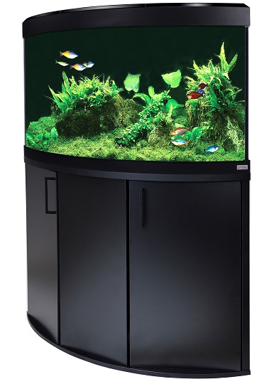 Fluval aquariums | Farnborough | Lynchford Aquatics