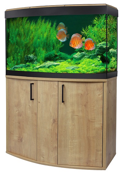 Fluval aquariums | Farnborough | Lynchford Aquatics