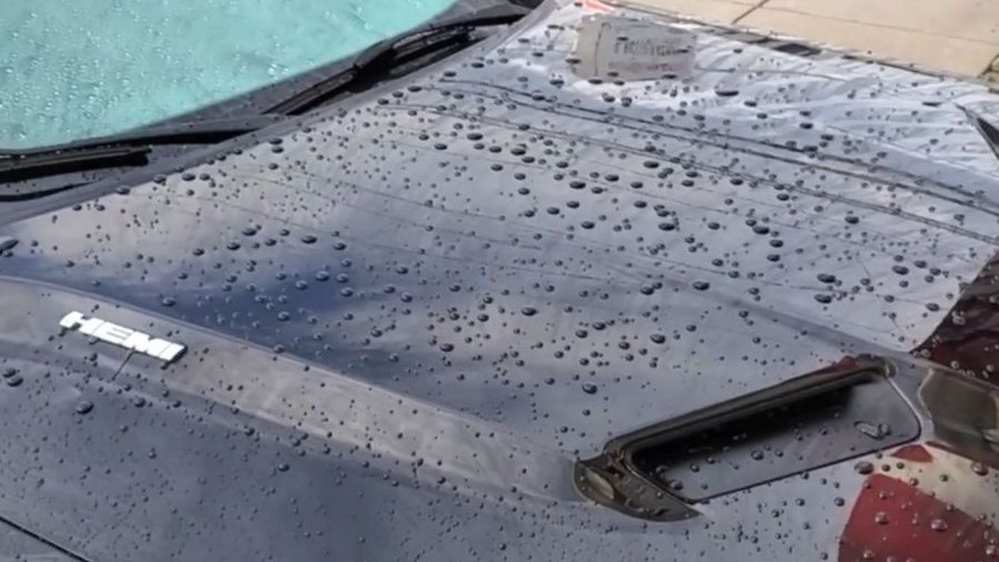 Water Beading vs Sheeting: Essential Car Care Guide
