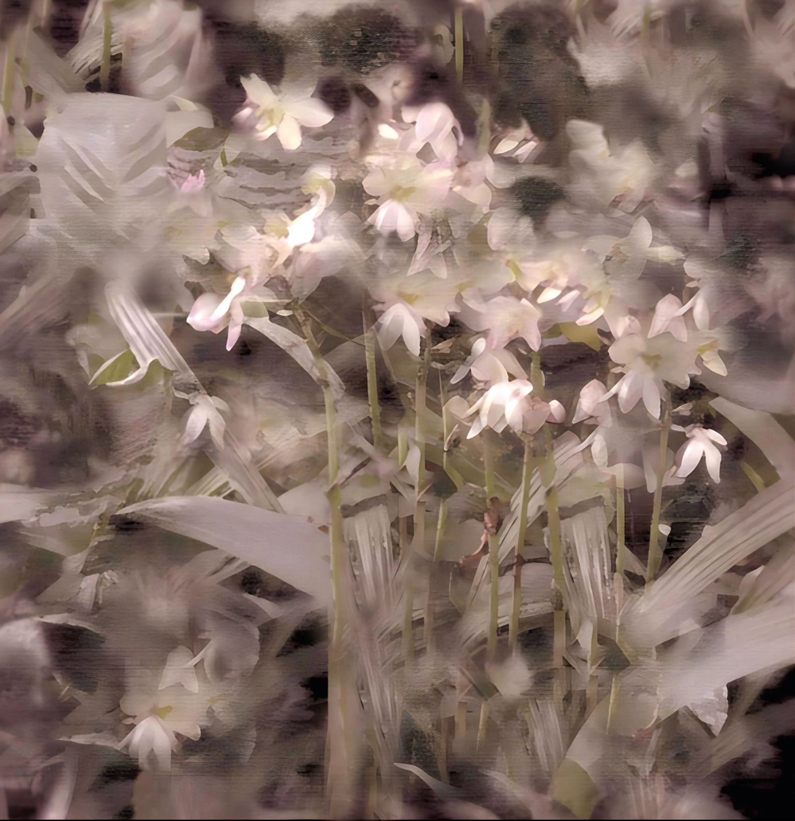 Award winning Artist Nicole Martinelli