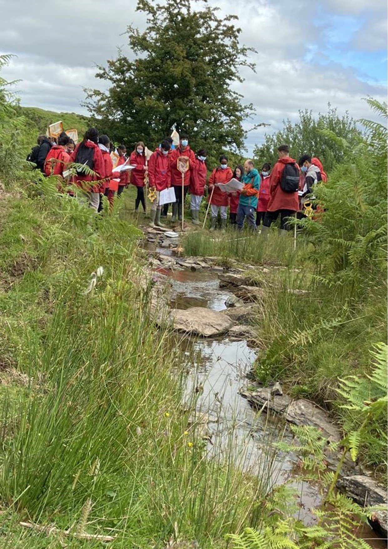 Biology Field Trip to Trewern