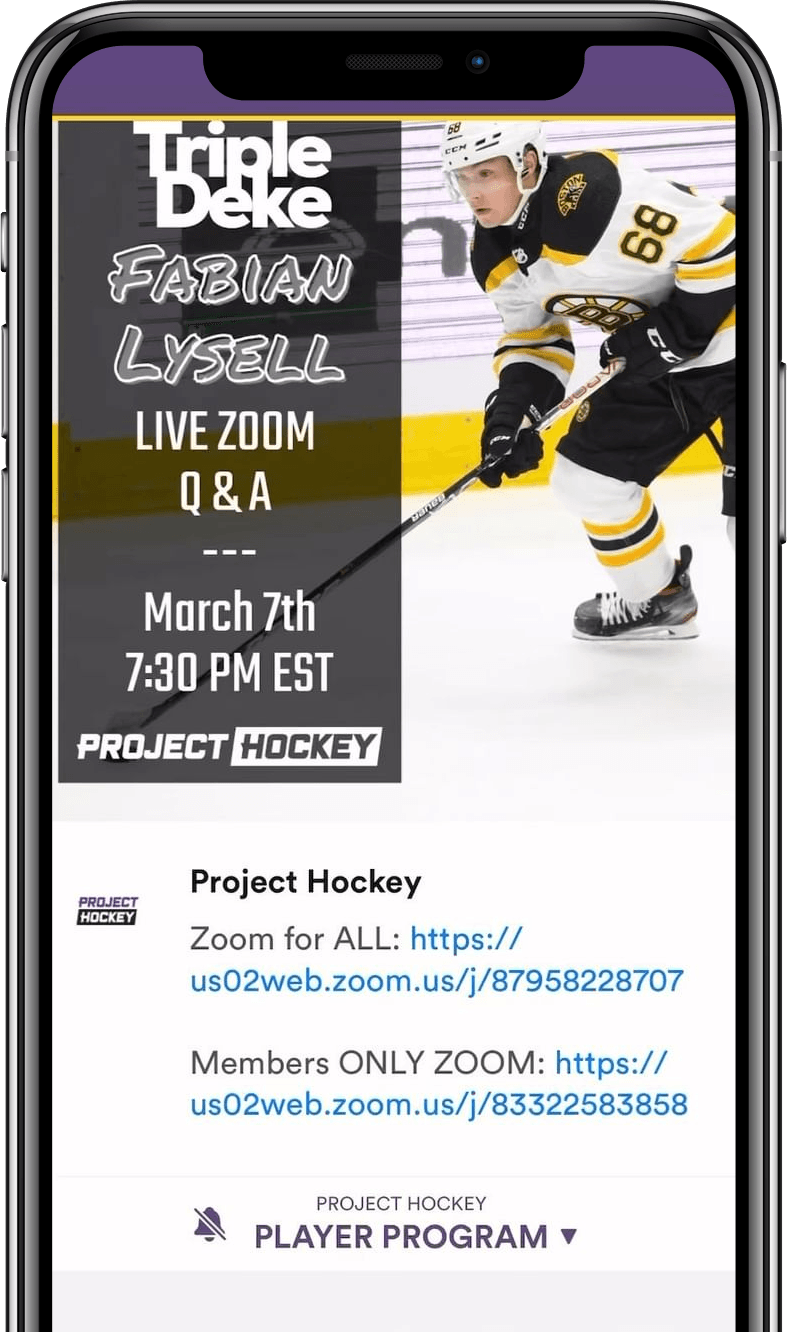 Project Hockey