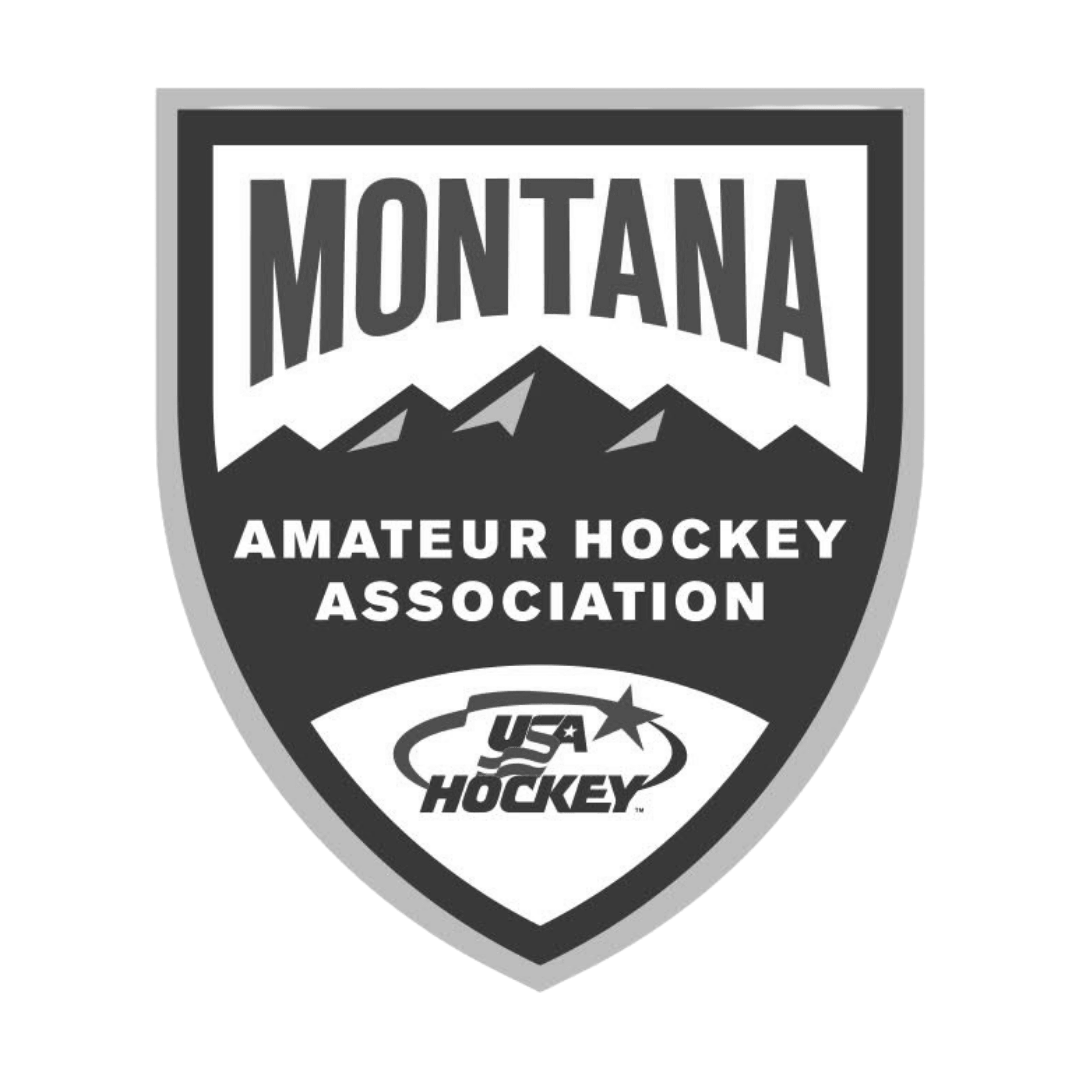 Project Hockey