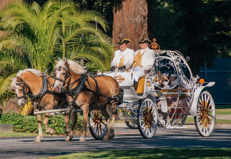 Carriage Rental | Oakley, CA | Fancy Ferriage By Horse & Carriages