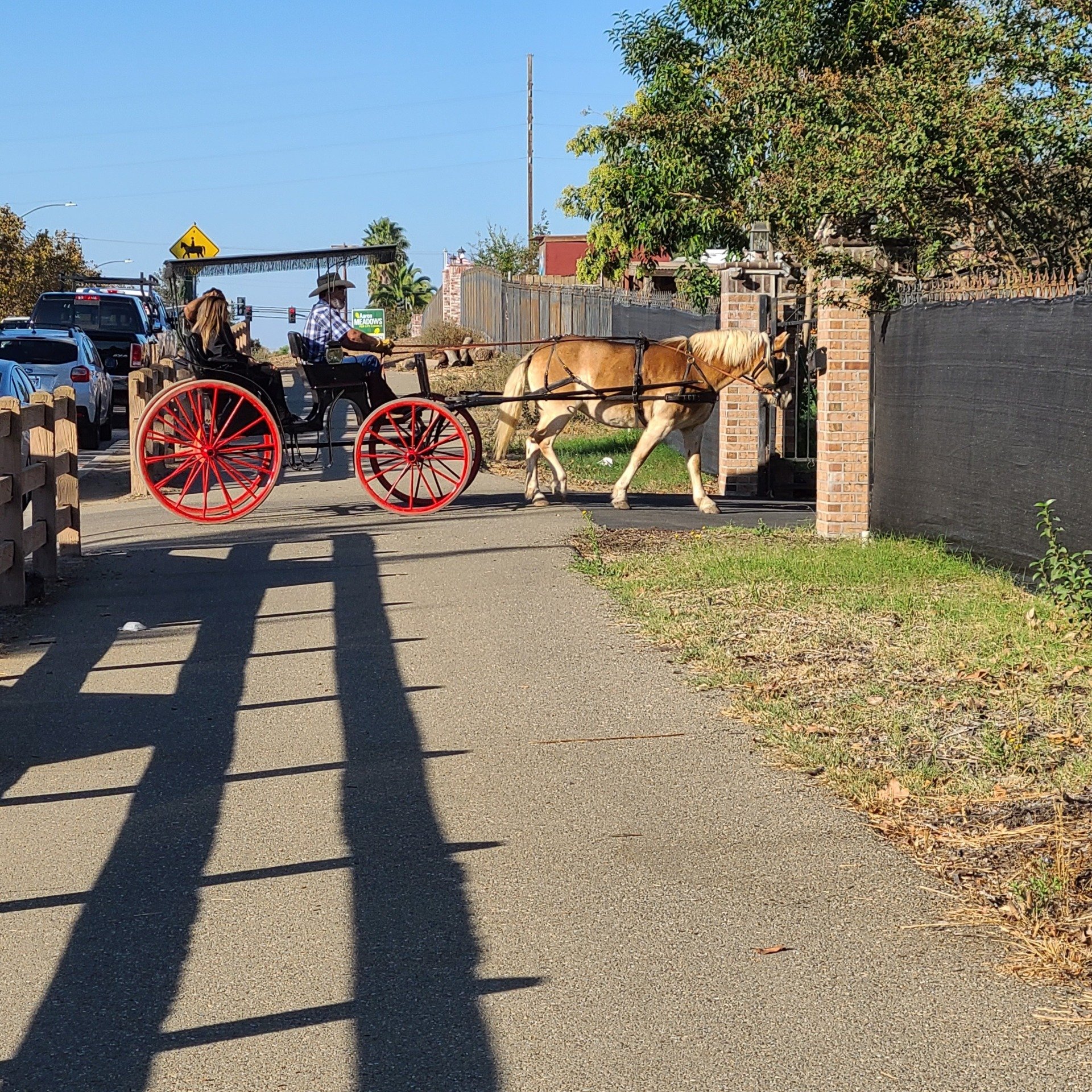 Carriage Company | Oakley, CA | Fancy Ferriage By Horse & Carriages