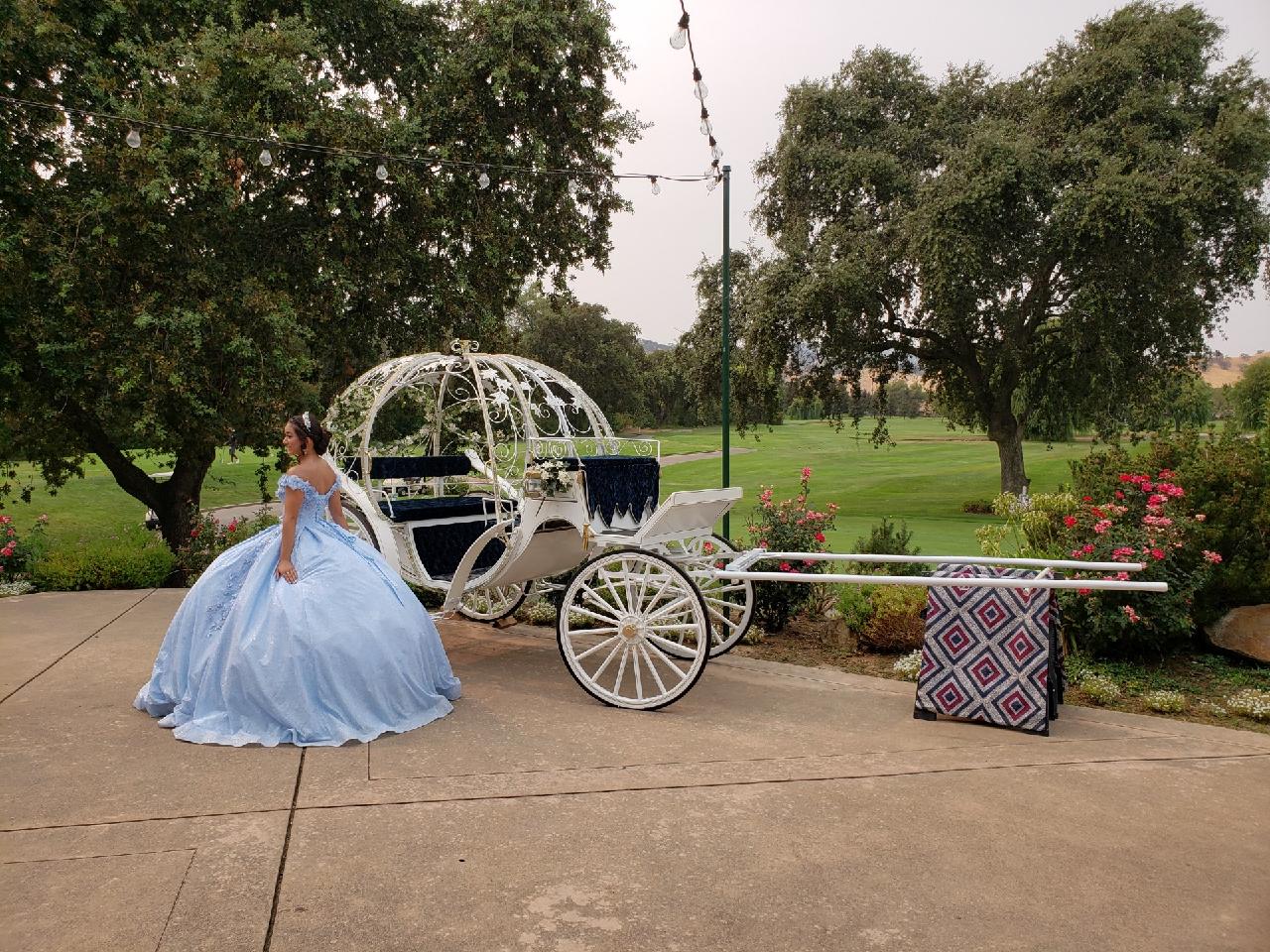 Carriage Rental | Oakley, CA | Fancy Ferriage By Horse & Carriages