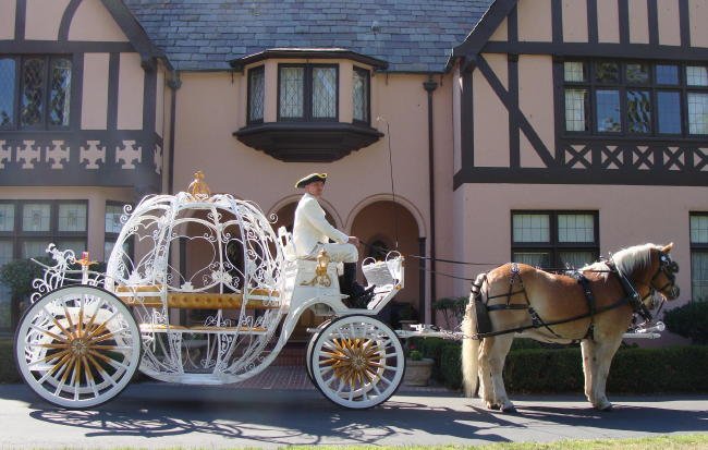 Horses Carriages | Oakley, CA | Fancy Ferriage By Horse & Carriages