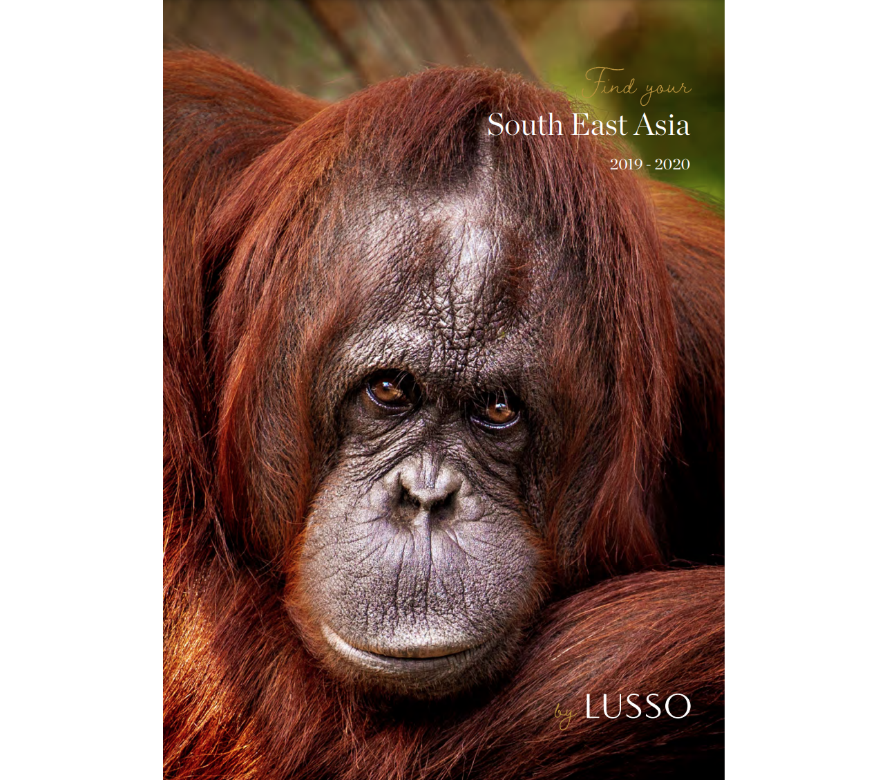 Book Lusso with 360 Loyalty | Travelgenix