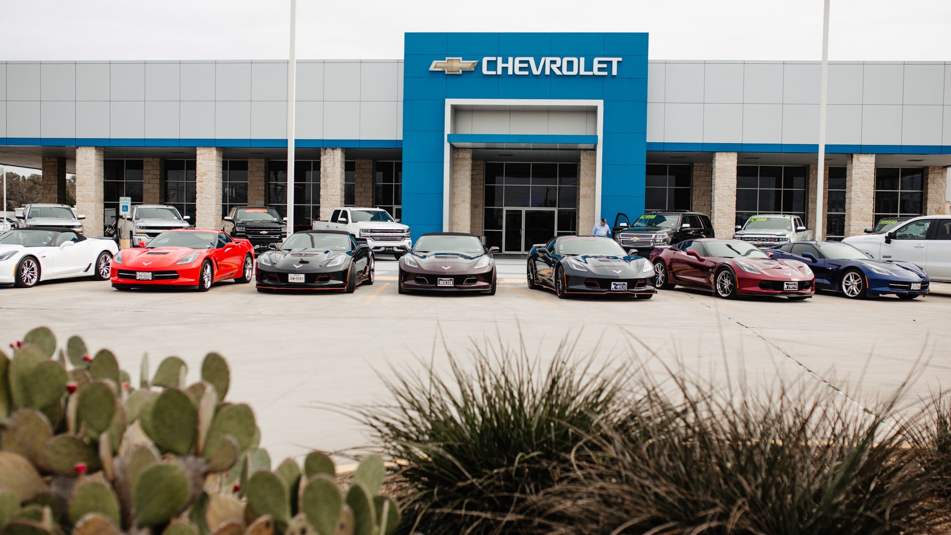 Welcome to The Cavender Auto Group