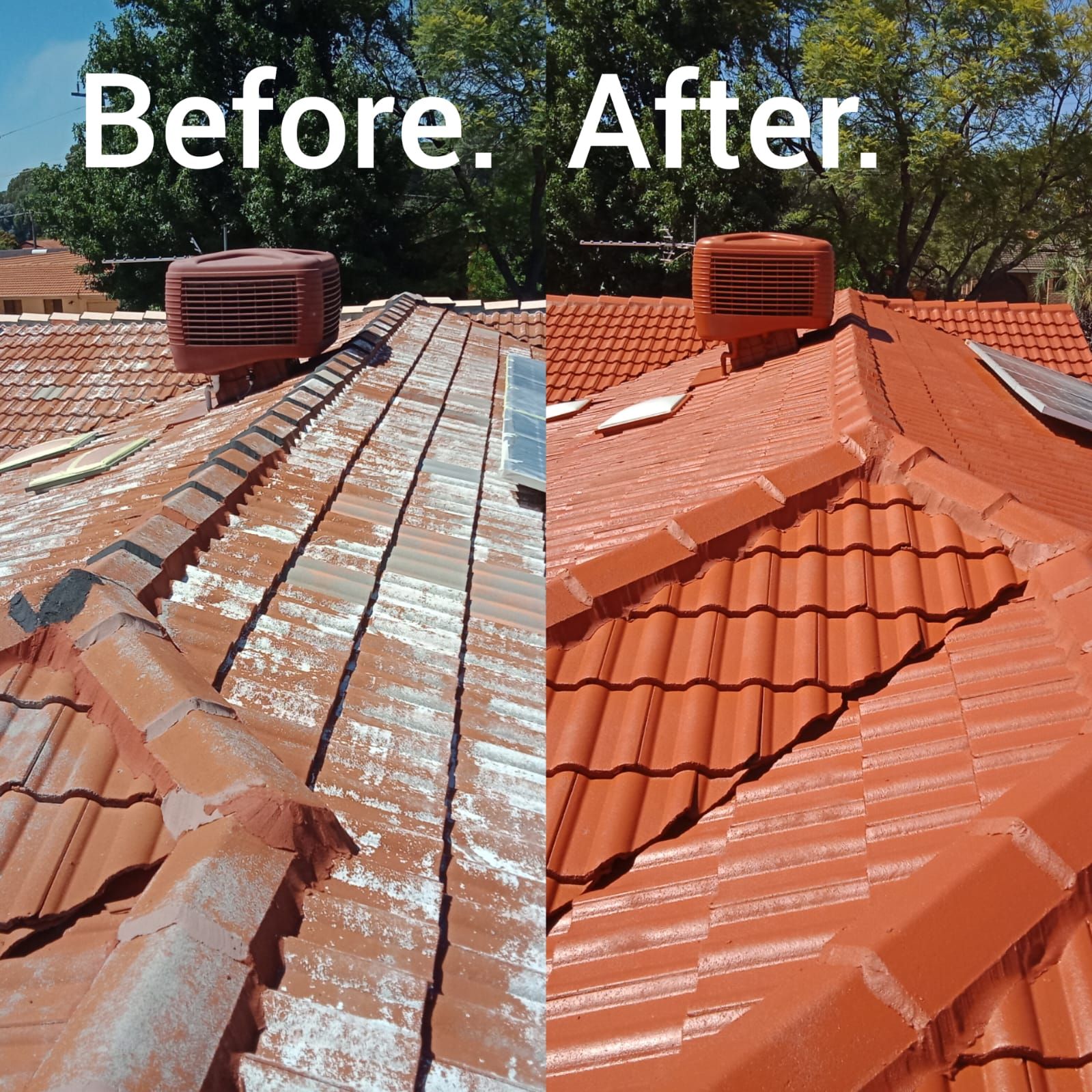 Roofing Services | Perth, WA | Noble Roof Restoration