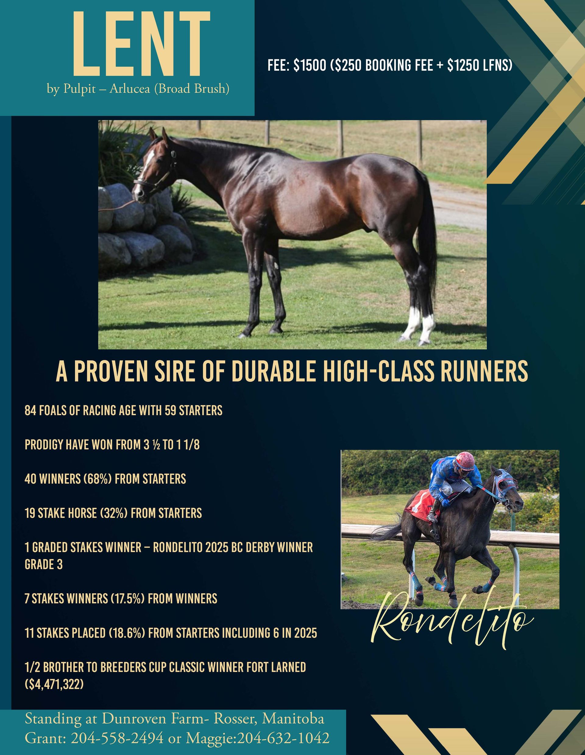 Canadian Thoroughbred Horse Society National Office 416-675-1370