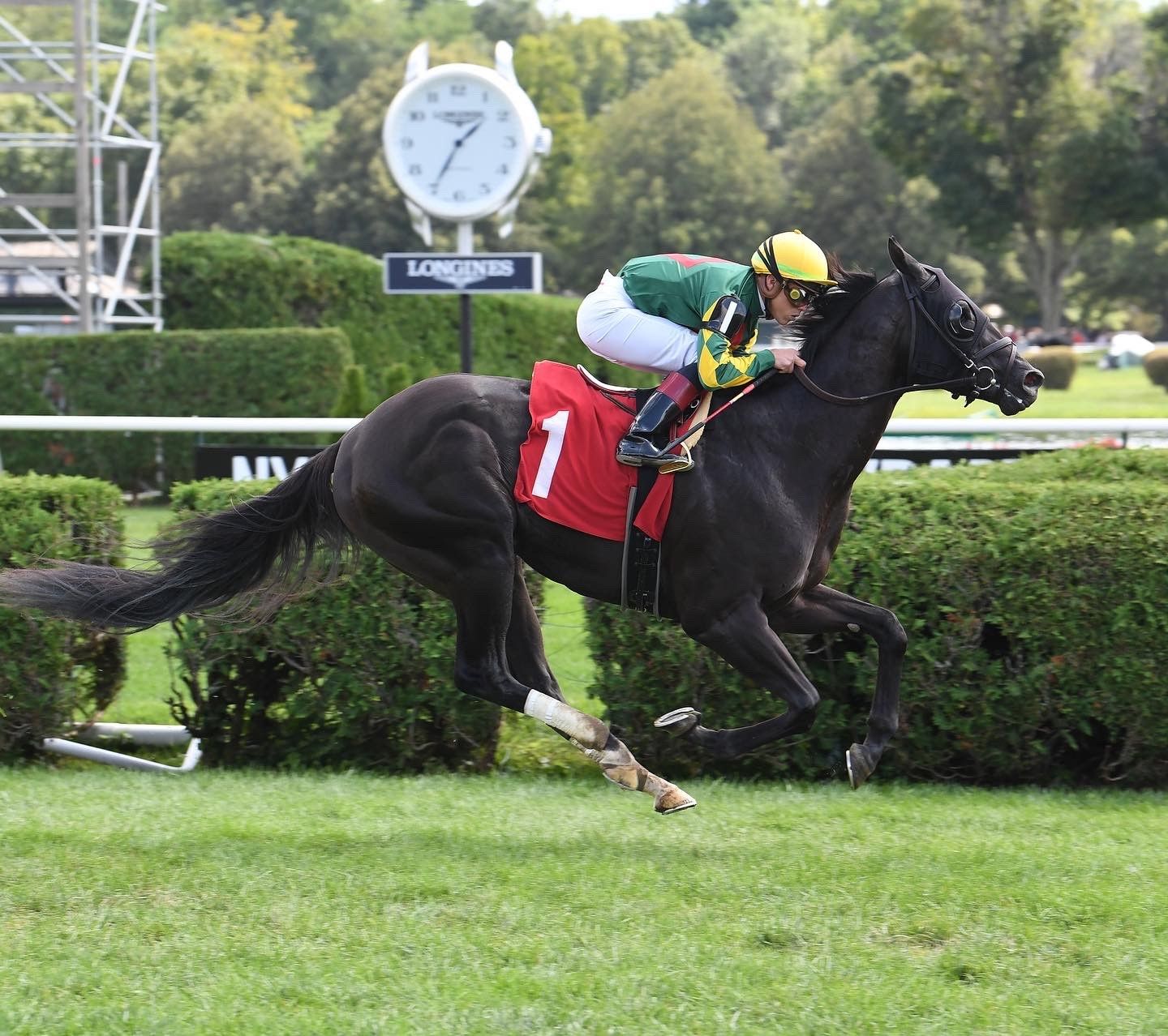 Canadian Thoroughbred Horse Society National Office 416-675-1370