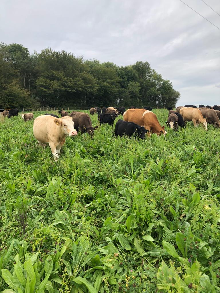 Lowering risk by managing holistically